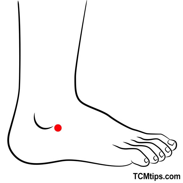 5 Acupressure Points For Sciatica According To Experts - Easy TCM ...