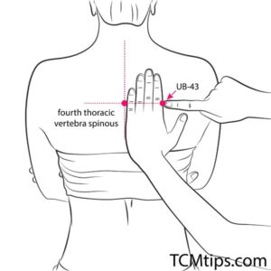 7 Potent Acupressure Points For Upper Back Pain - TCM Tips