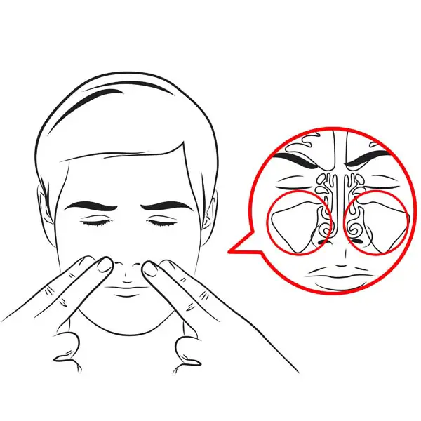 How To Drain Sinuses With A Massage According To Experts Tcm Tips