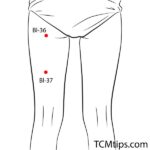 5 Pressure Points For Thigh Pain - TCM Tips