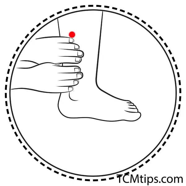 Use SP 7 Acupuncture Points and These 4 Other Acupoints to Stabilize ...
