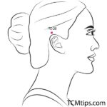 10 Eustachian Tube Pressure Points For Congested Ear I Wish I Knew ...