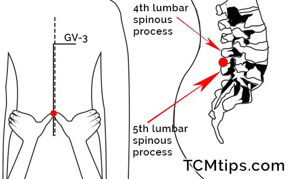 9 Potent Acupressure Points For Lower Back Pain That Save My Day - Easy ...