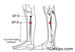 5 Acupressure Points For Peripheral Neuropathy - TCM Tips