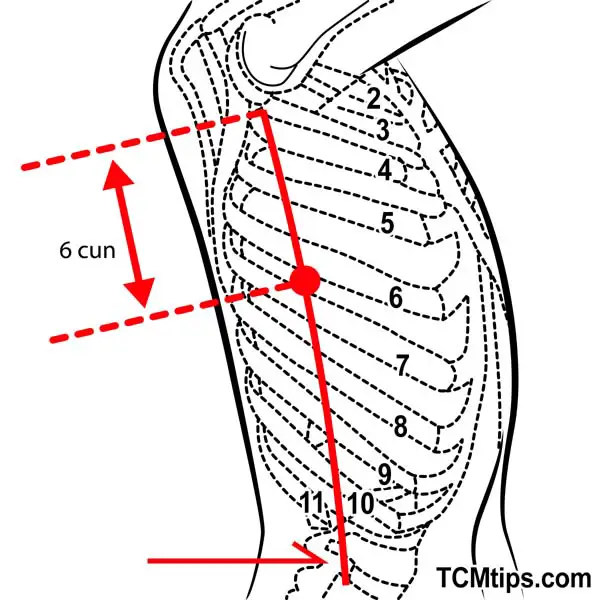 13 Acupressure Points For Shoulder And Arm Pain I Absolutely Love ...