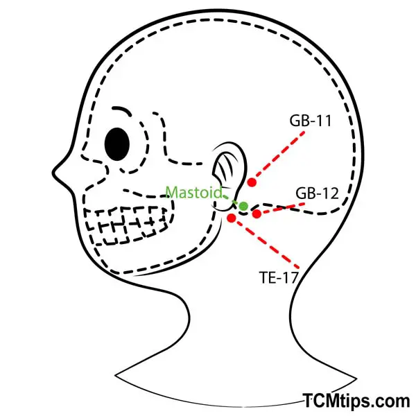 8 Quick And Easy Acupressure Points For Hearing Loss - TCM Tips