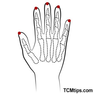 6 Potent Acupressure Points For Menopause - TCM Tips