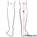 5 Acupressure Points For Peripheral Neuropathy - TCM Tips