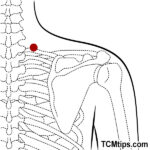 5 Shoulder Pressure Points You Must Know - TCM Tips