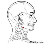 Learn To Use An Acupuncture Pen For Neck Pain - TCM Tips