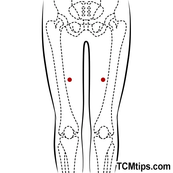 5 Pressure Points In The Thigh - TCM Tips