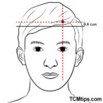 The Advanced Guide to Acupressure Points For Brain Stimulation - TCM Tips