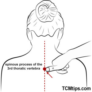 6 Great Acupuncture Points for GERD - TCM Tips