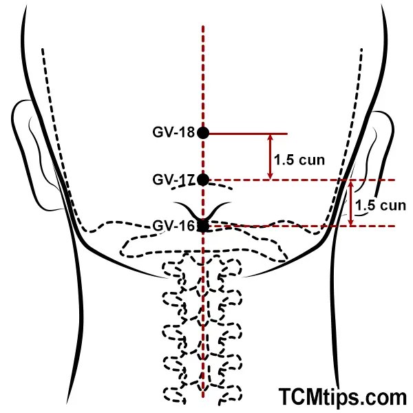 Acupressure For Dementia: How To Prevent And Reduce The Risk - TCM Tips