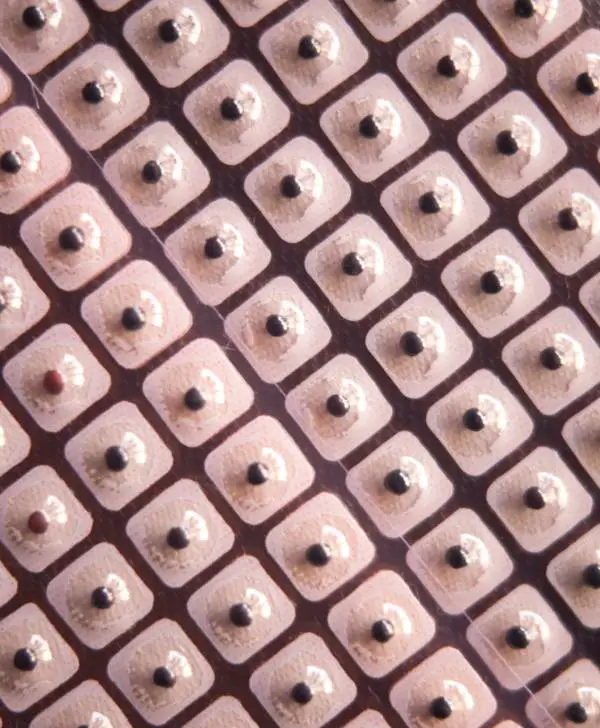 Ear Seeds: A Comprehensive Guide to Benefits, Types, and Application